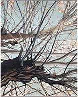 Chelsea Art Galleries / 2022 NYC Chelsea Gallery Guide
