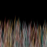 Fine Art Photographer Guide 2024 / Artists Photographers