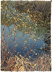 Seattle Art Galleries / 2023 Seattle Art Gallery Guide