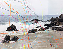 Seattle Art Galleries / 2024 Seattle Art Gallery Guide